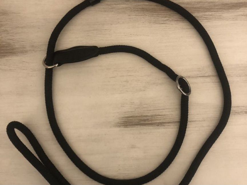 Ринговка для собак