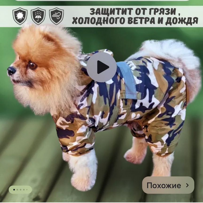 Дождевик для собак