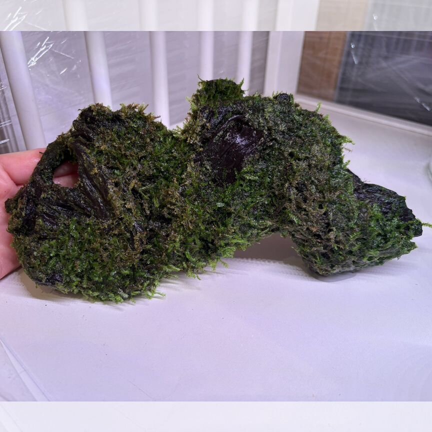 Коряги для аквариума