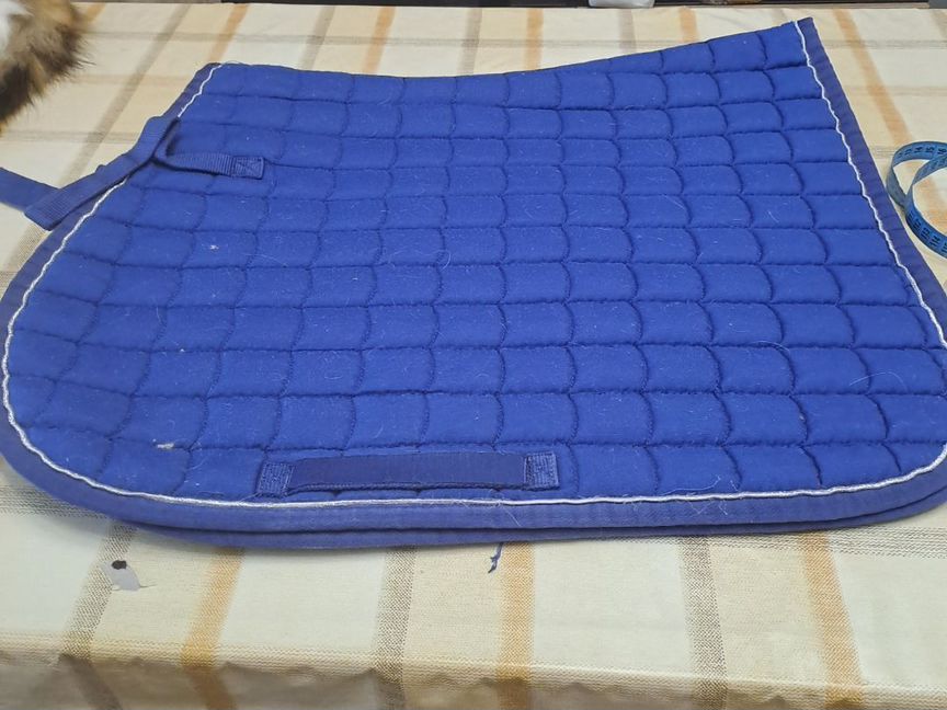Папона конная, для пони