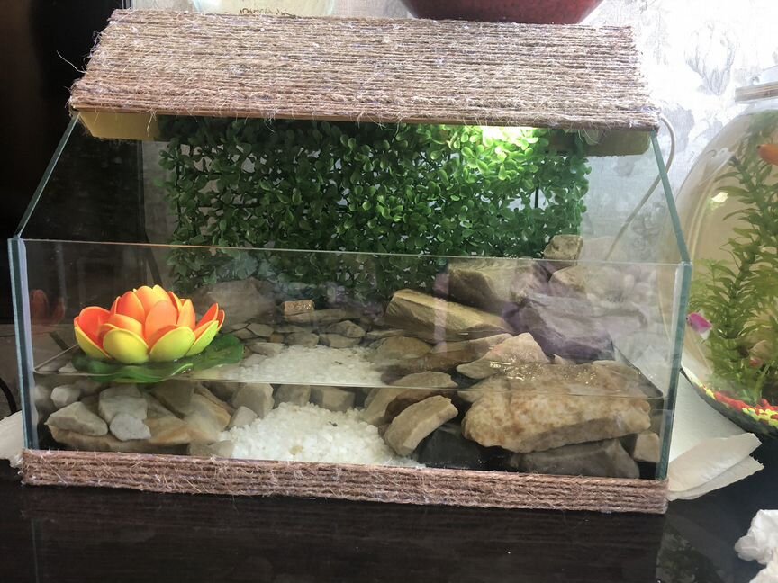 Террариум для черепахи