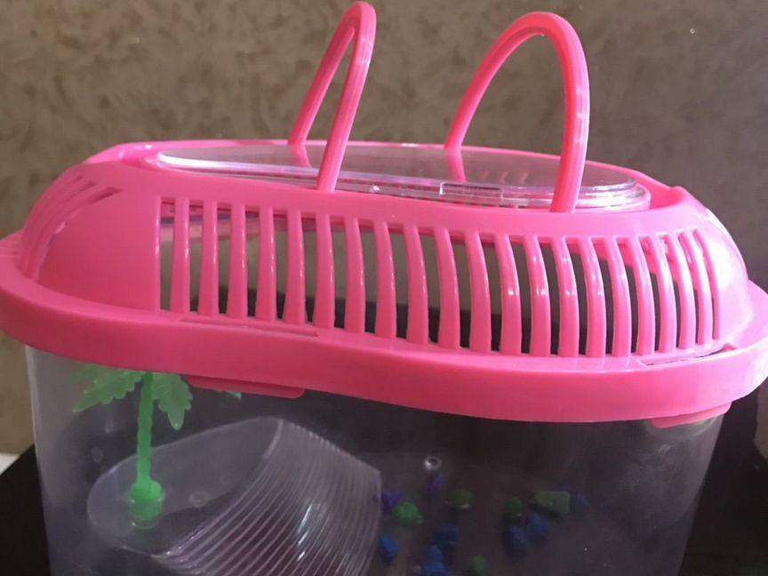 Аквариум с красноухой черепашкой