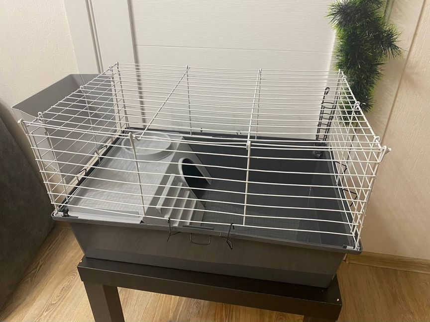 Новая клетка для грызунов большая