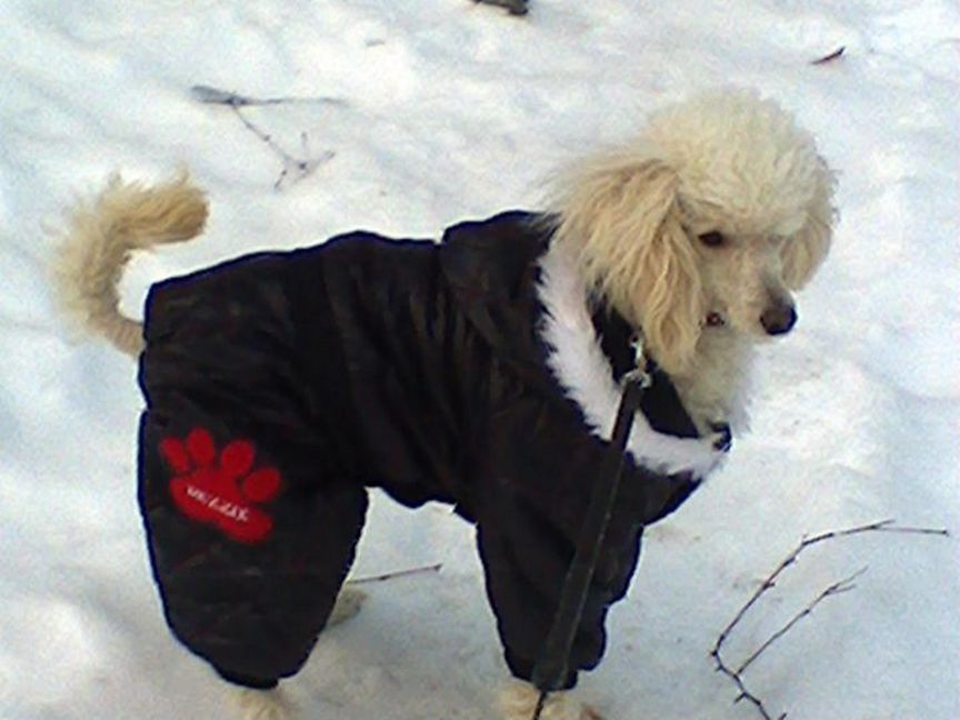 Зимний комбез