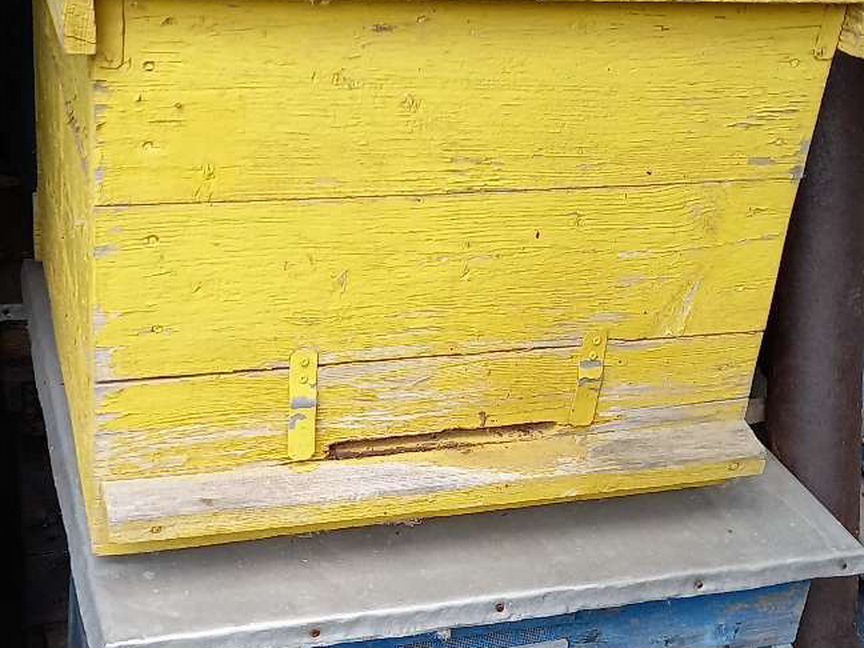 Улей для пчел бу