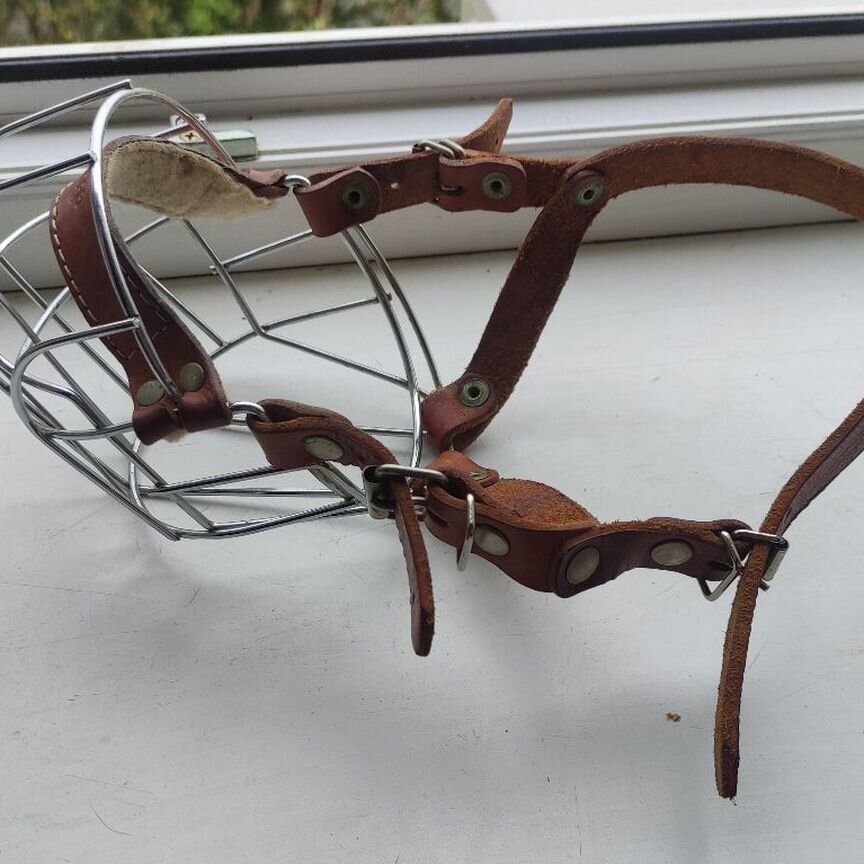 Намордник для немецкого боксёра