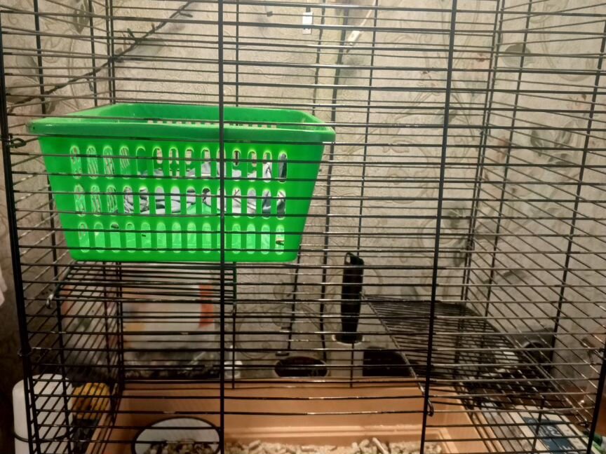 Клетка для грызунов