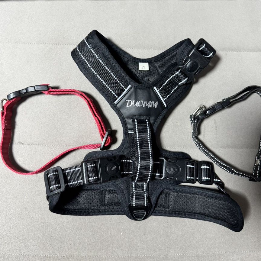 Шлейка размер м