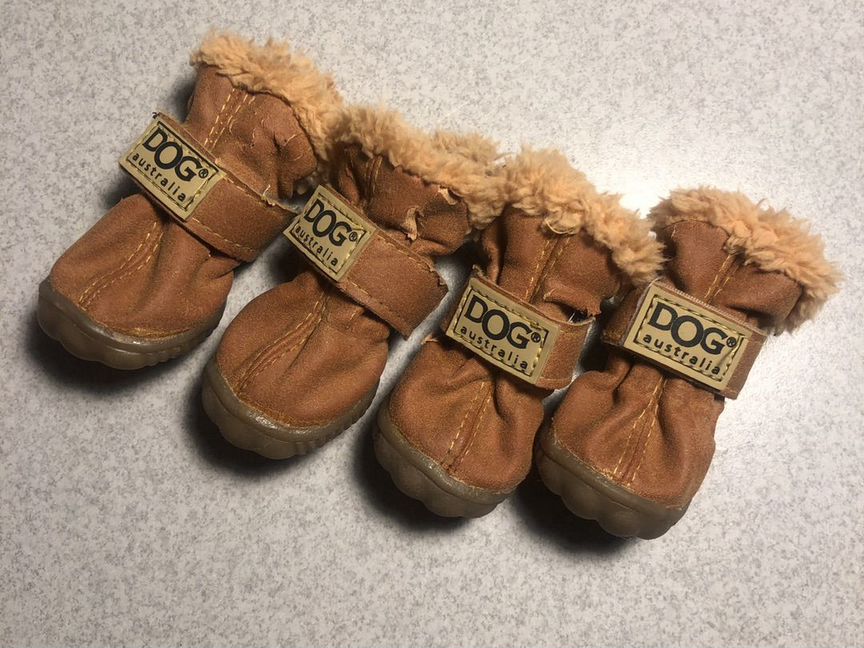 Угги для маленькой собачки