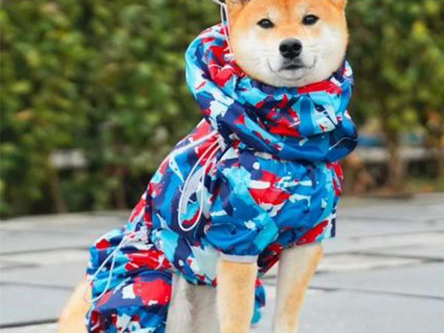 Комбенизон, щетка