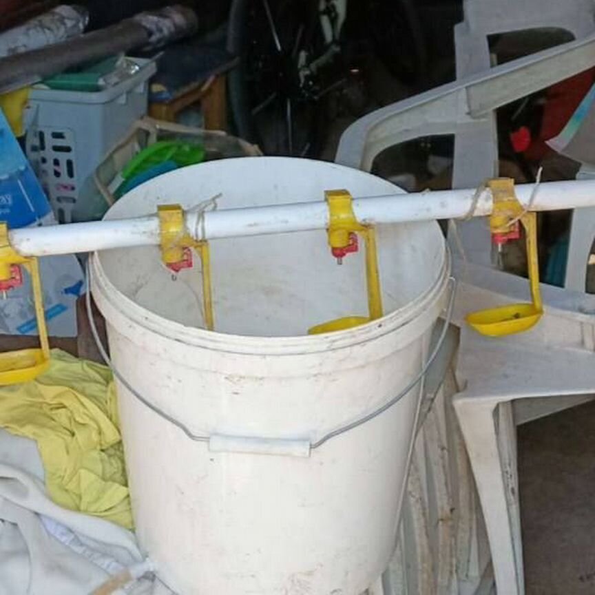 Поилка для кур