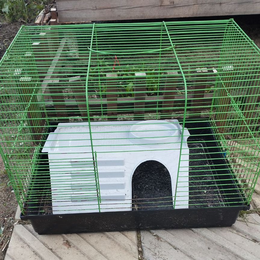 Клетка