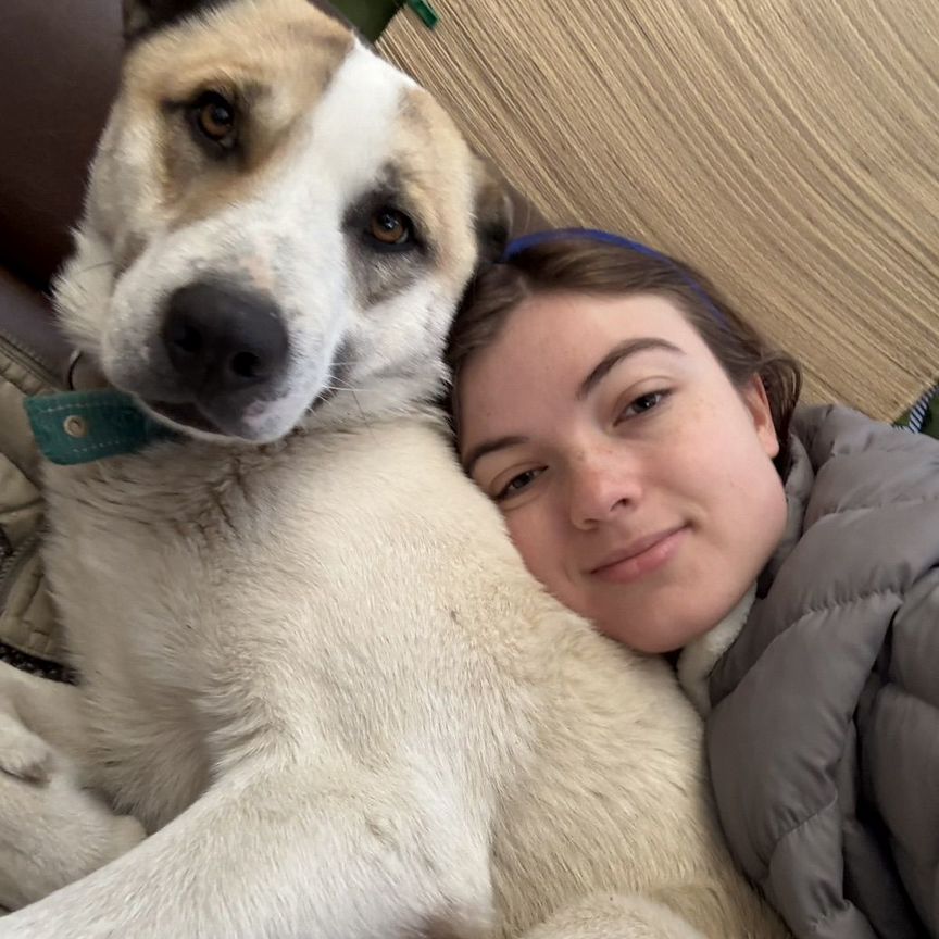 Лапочка-собака и хороший охранник Жорик