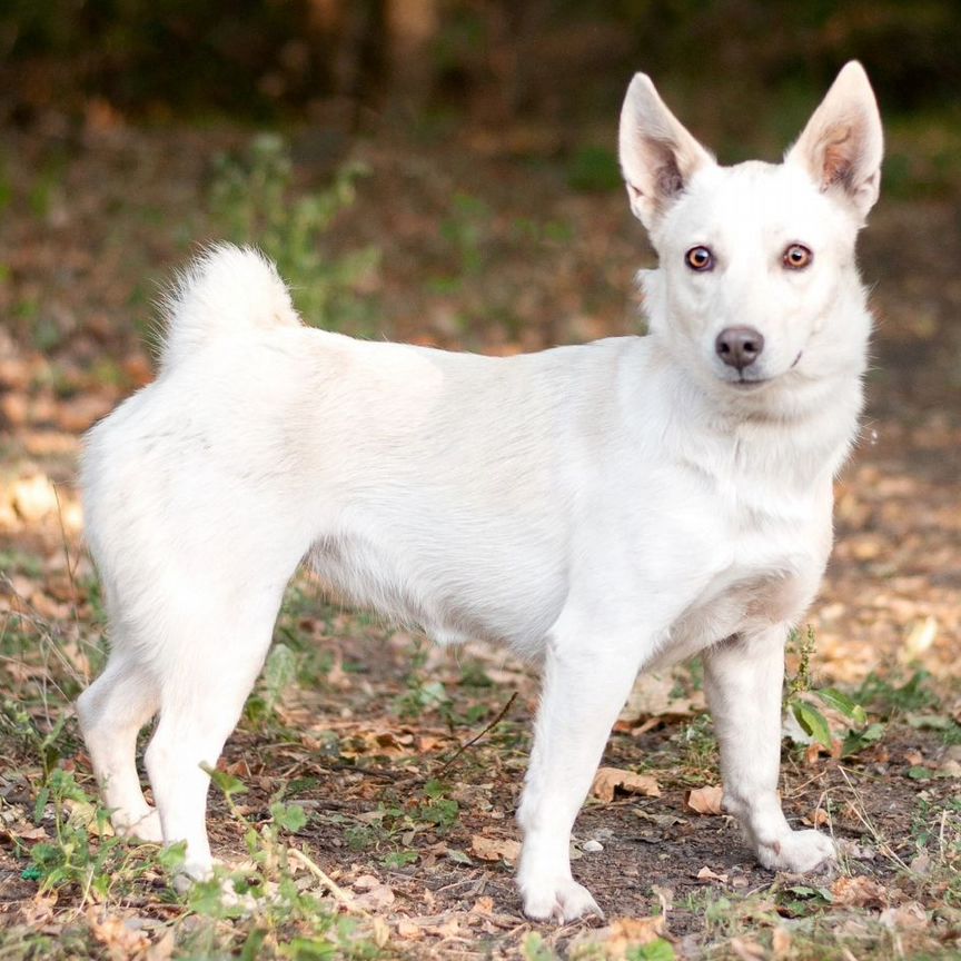 Маленькая блондинка Молли