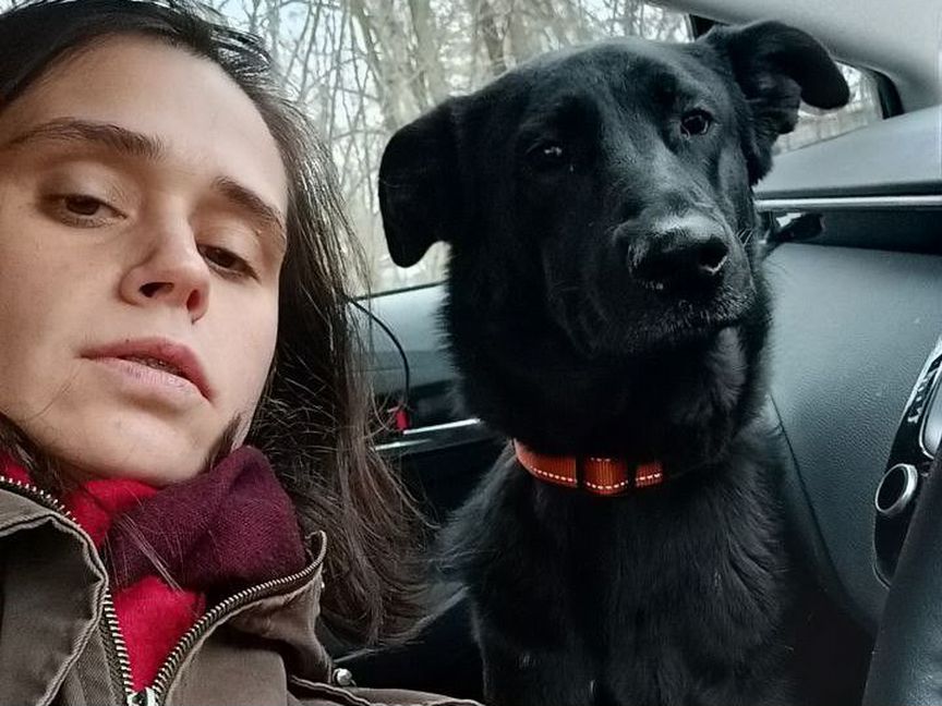 Ищу новый дом собаке 2,5 года