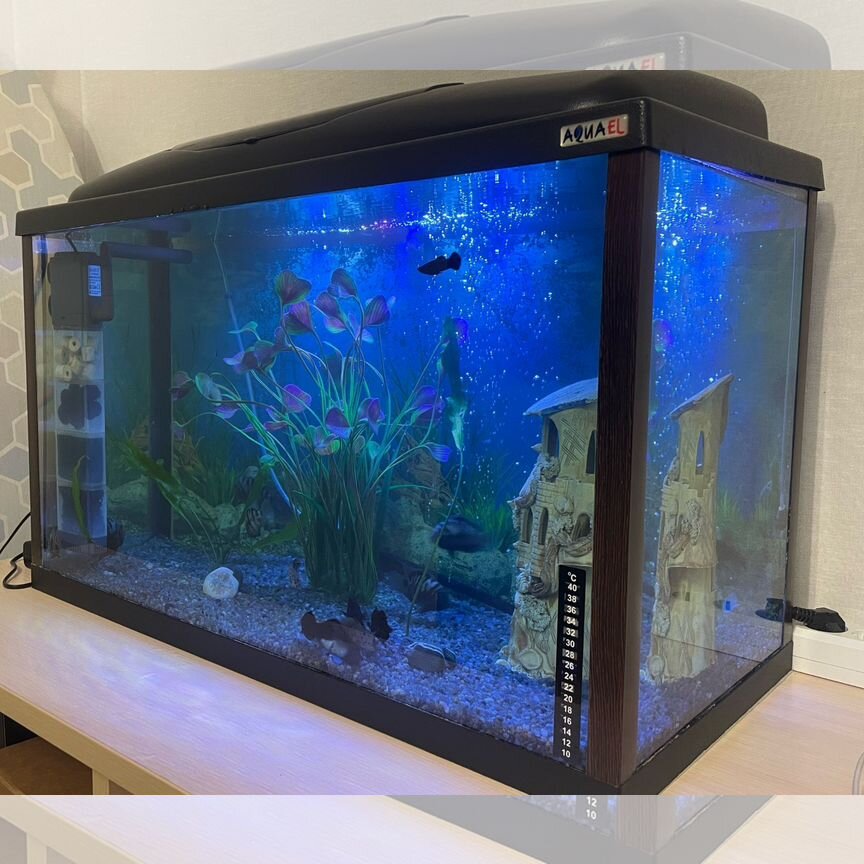 Аквариум с крышкой 150л