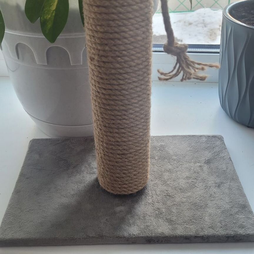 Когтеточка