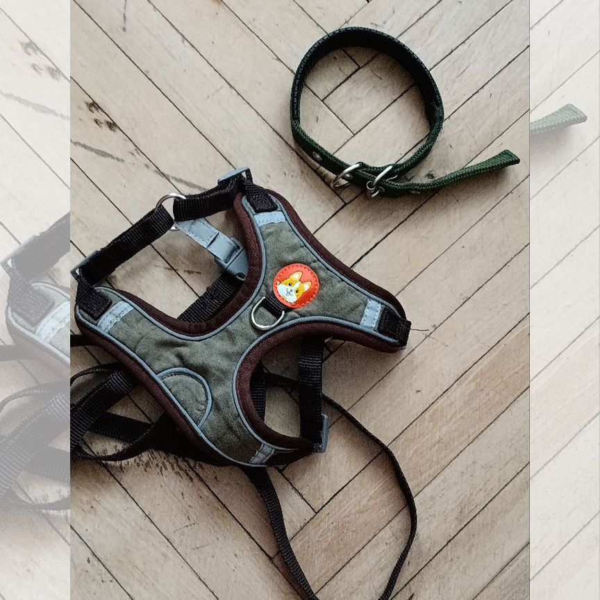 Шлейка с поводком, ошейник