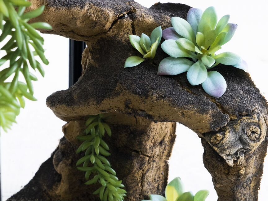 Готовый комплект для эублефара