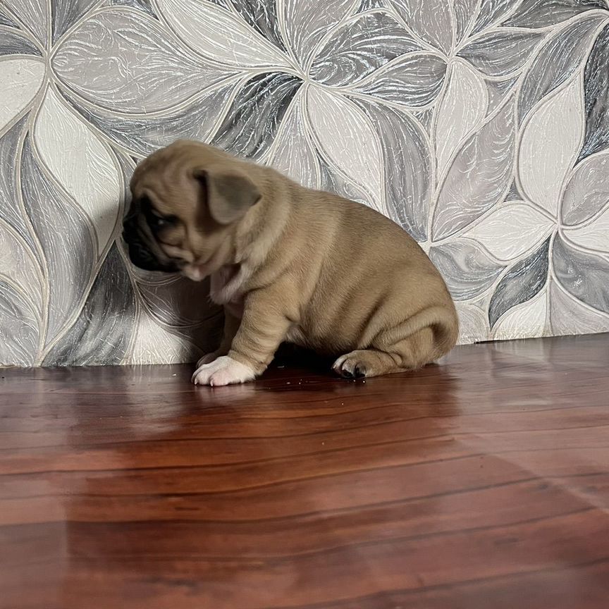 Сладкие детки