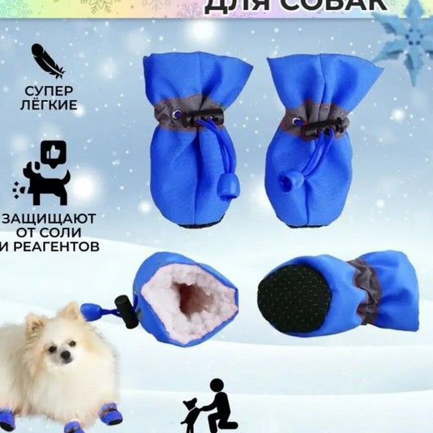 Новые сапожки зимние для собаки, зимняя обувь