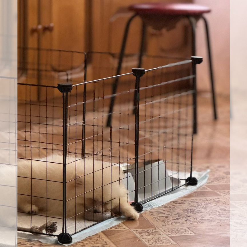 Вольер для собак домашний