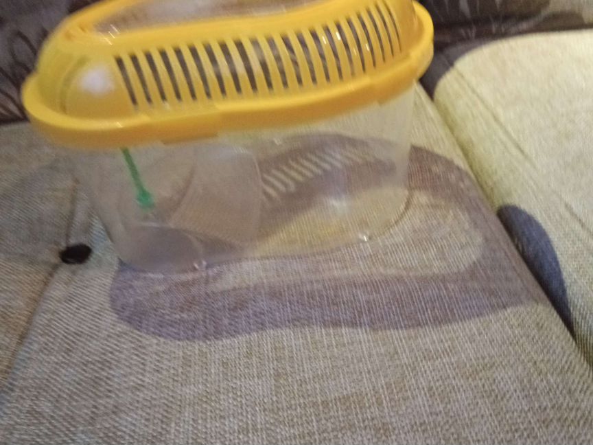 Контейнер для черепах