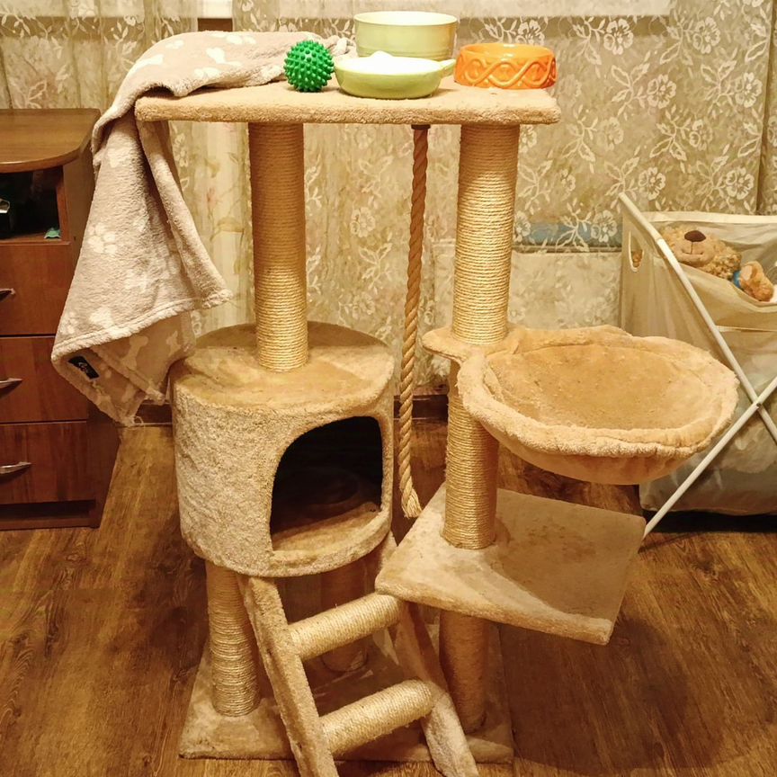Домик для кошки, три миски, плед, игрушка