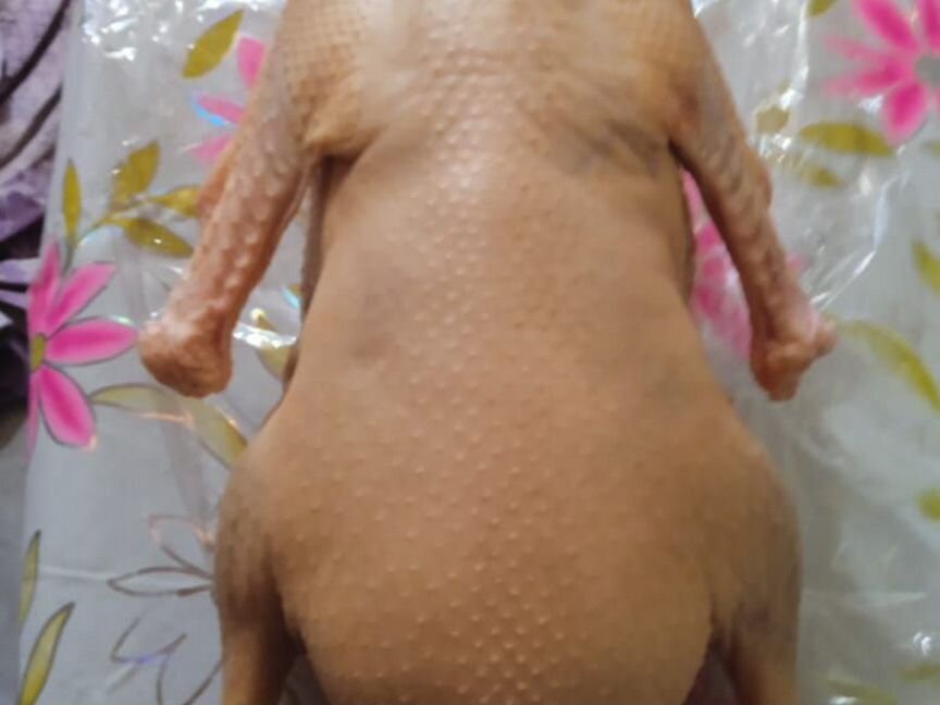 Гусь