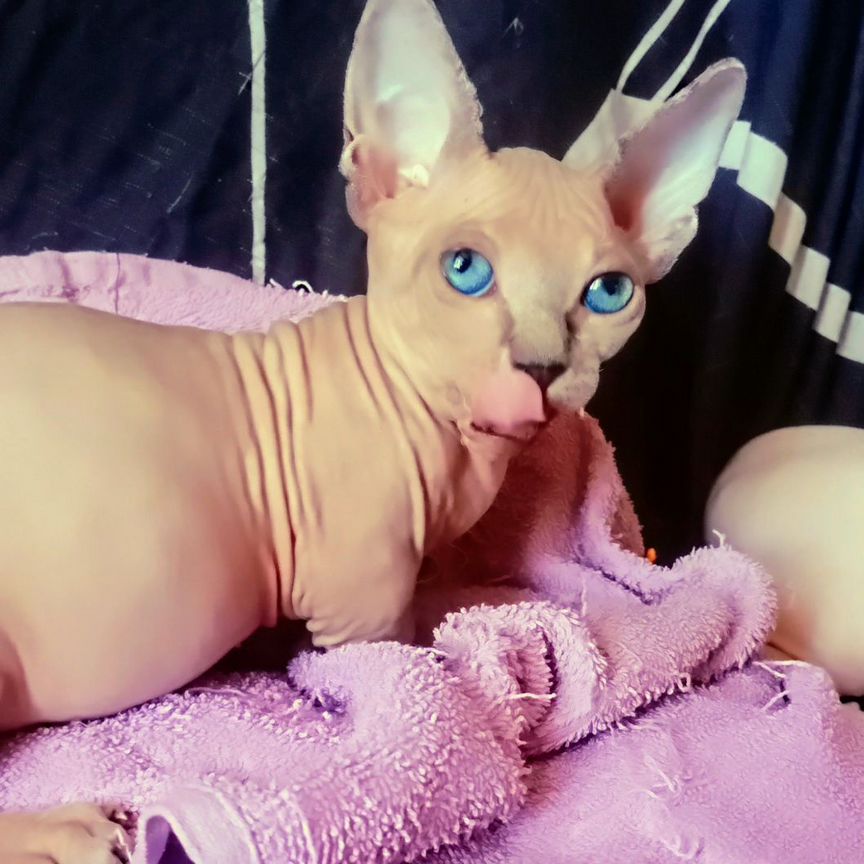 Микродетки