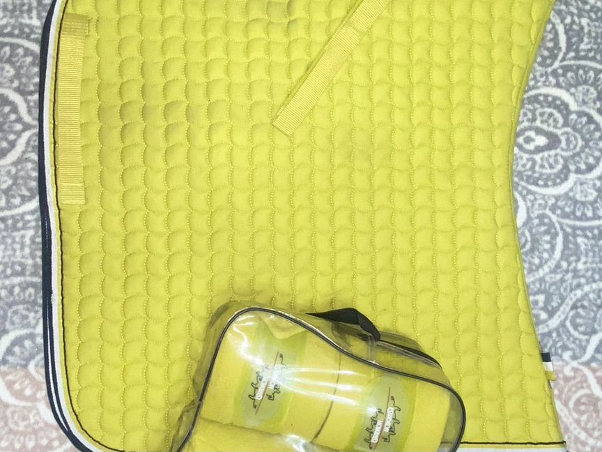 Амуниция для лошади