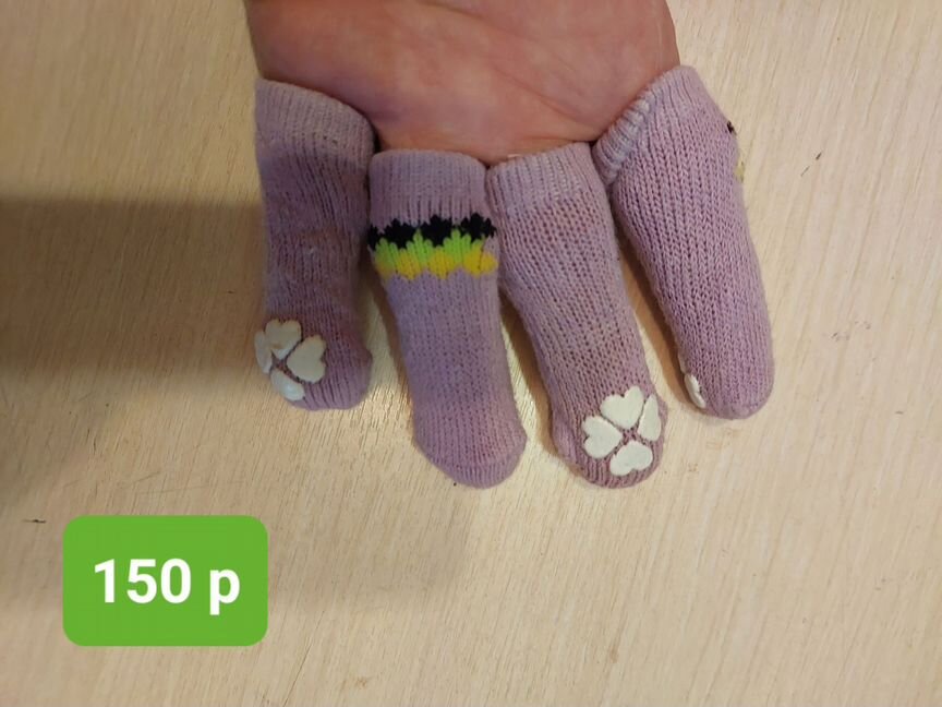 Одежда для чихуахуа