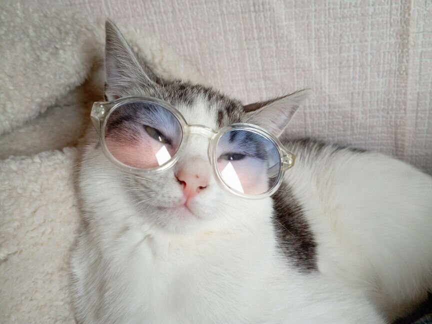 Котенок