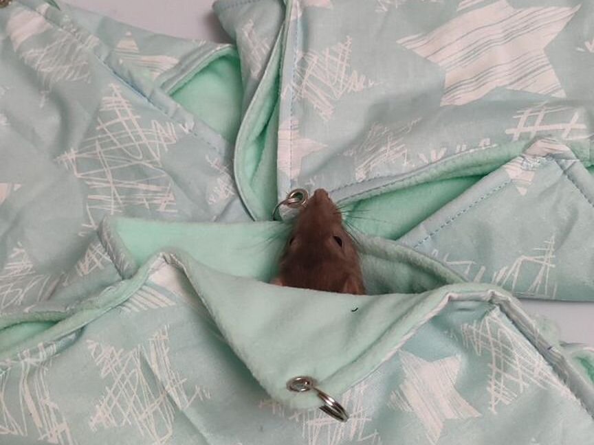 Гамак для грызунов, крыс, хомяков