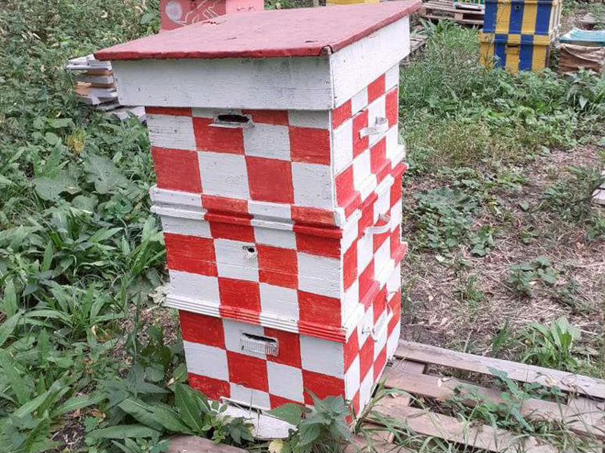 Улья дадановские бу