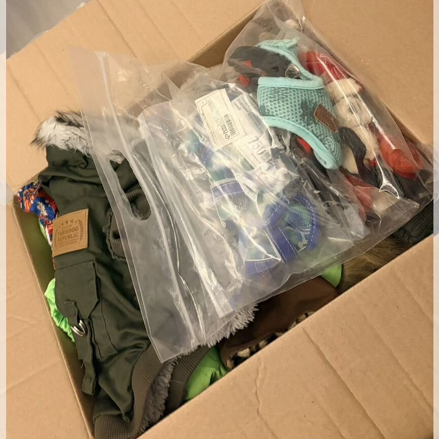 Одежда для кошек и собак