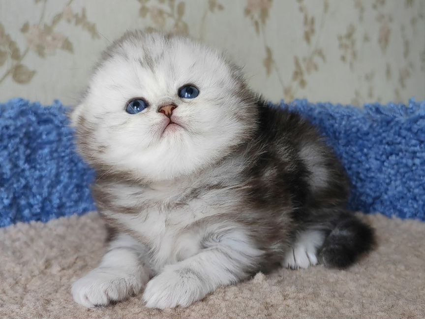 Очаровательные малыши