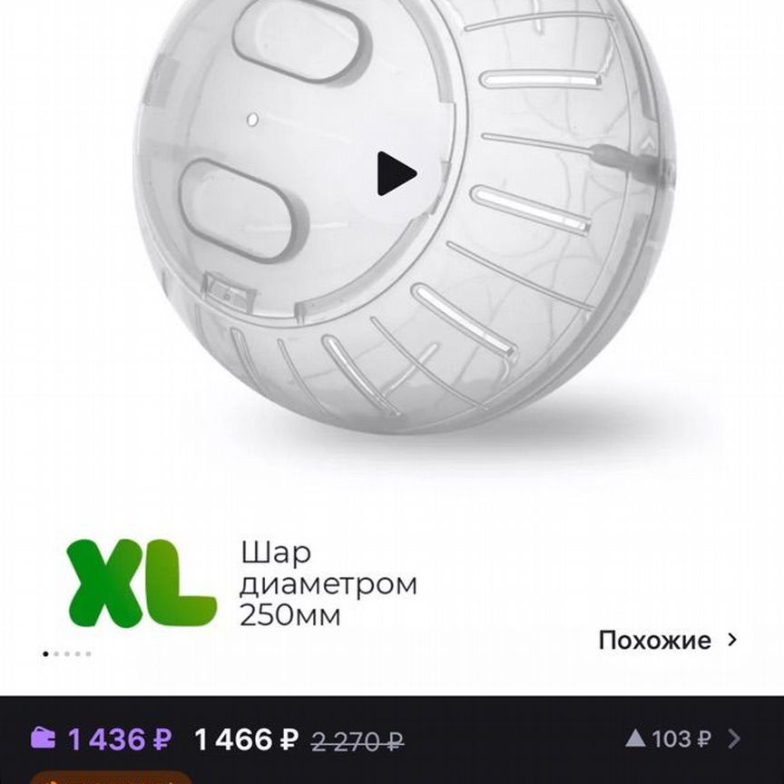 Прогулочный шар для грызунов 25см