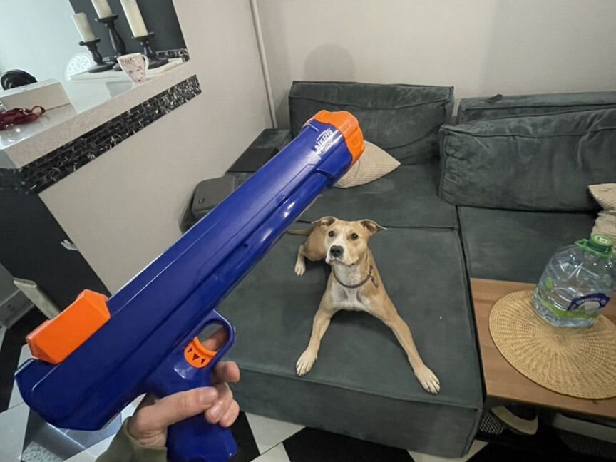 Nerf dog игрушка для собак