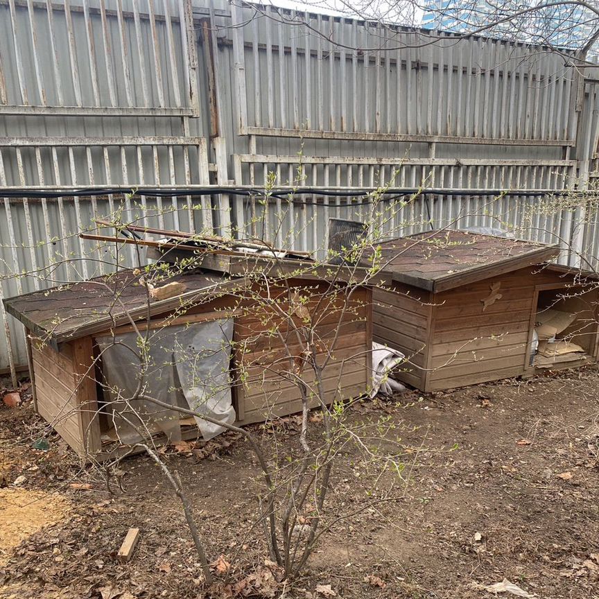 Будки для собак