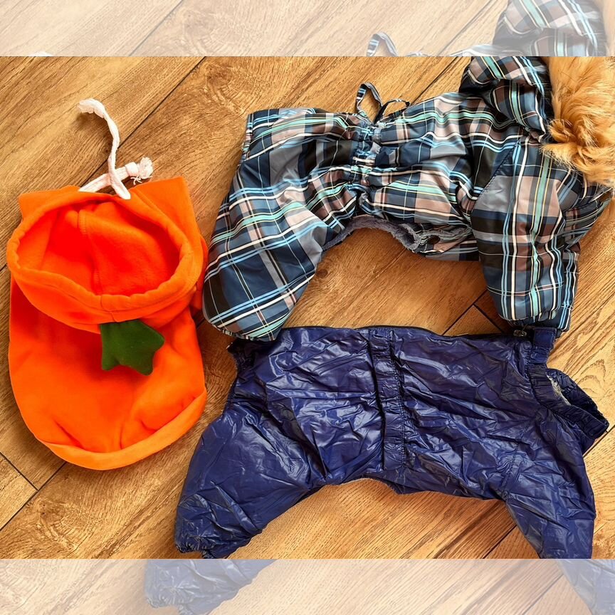 Одежда для собак мелких пород мальчик