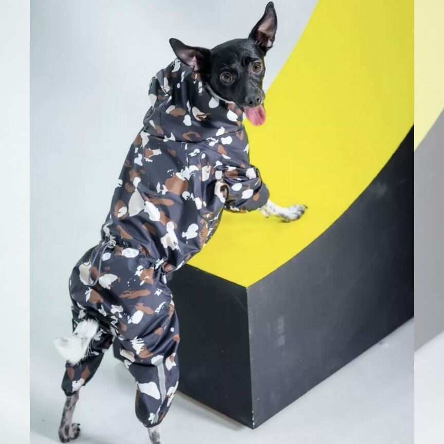 Одежда для собак дождевик