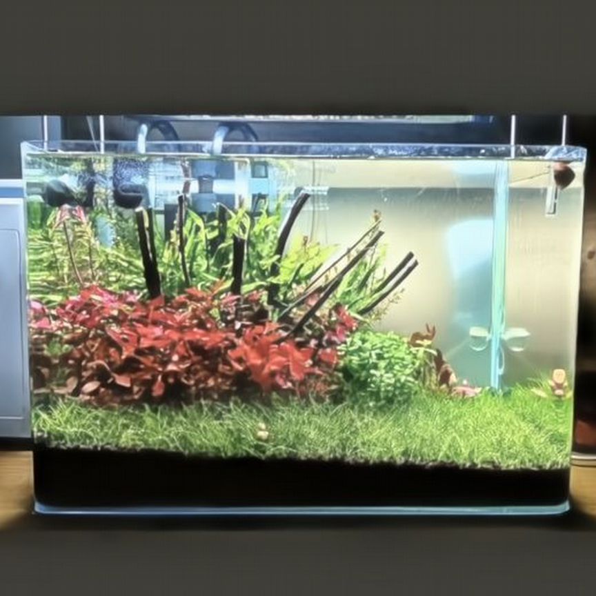 Аквариум 45см под ключ