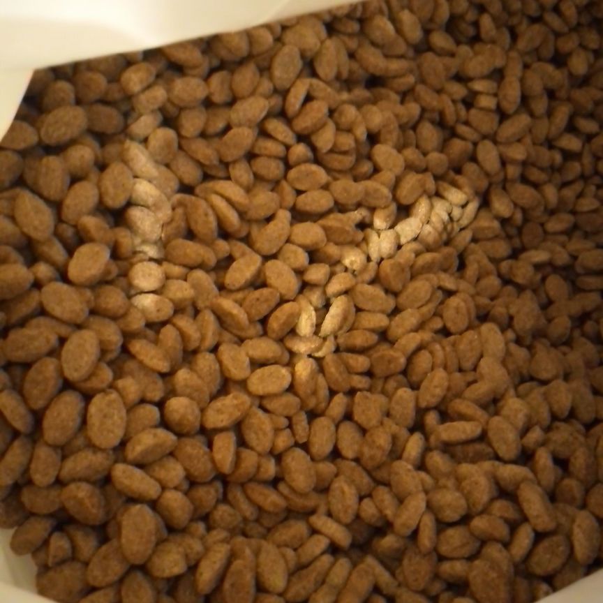 Сухой корм для собак