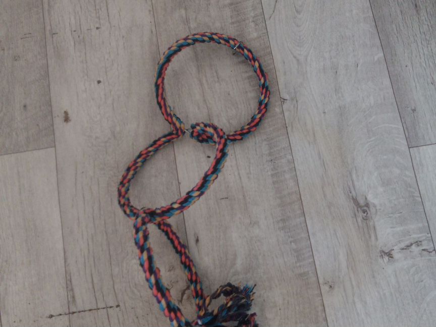 Кольца для попугаев