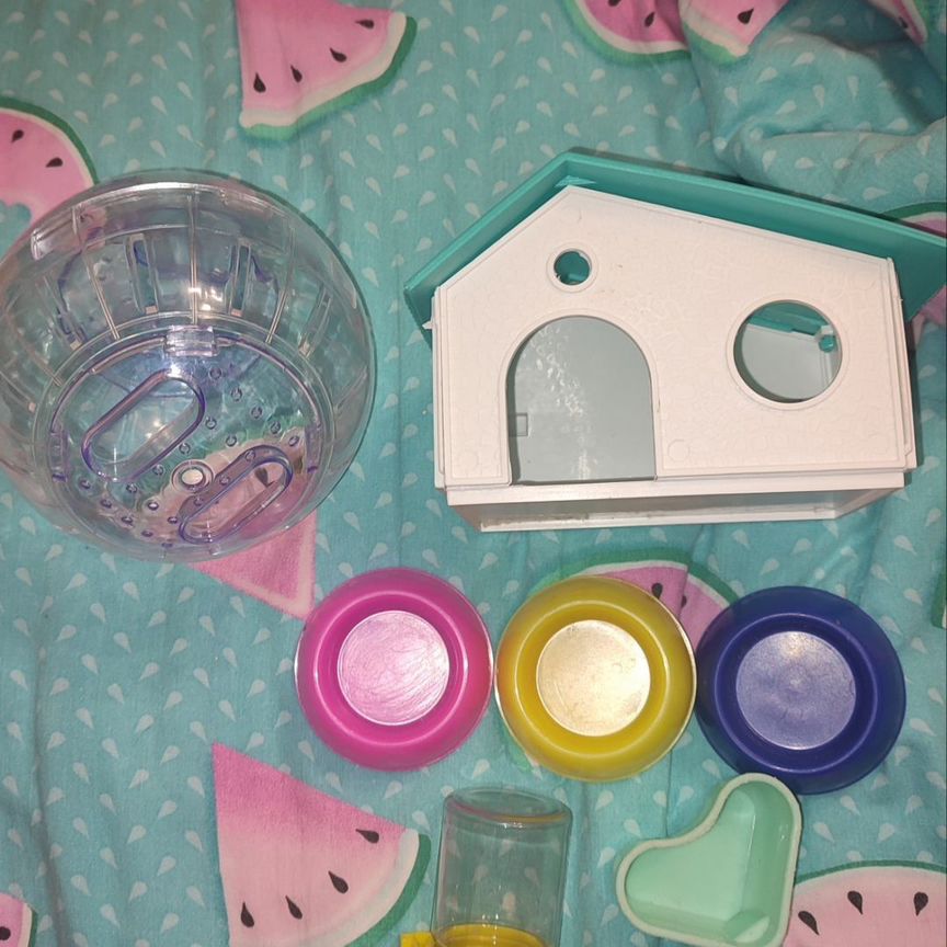 Инвентарь в клетку для хомяка