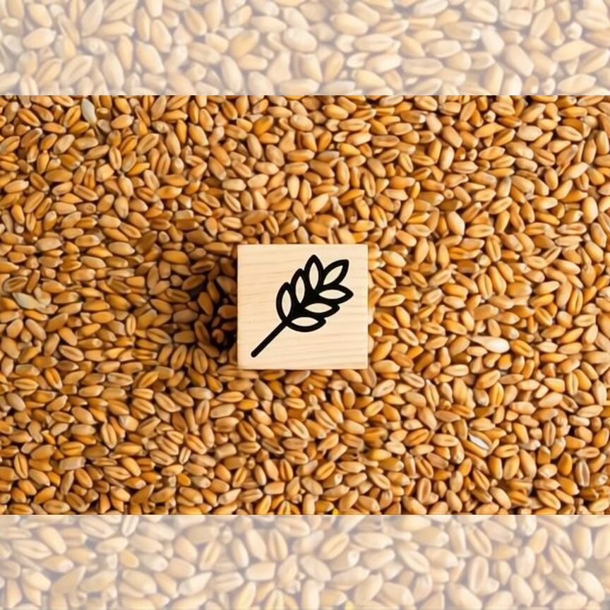 Продам зерно 5-6 тон 89028691580