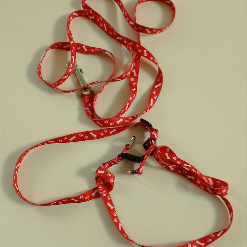 Шлейка для кошки