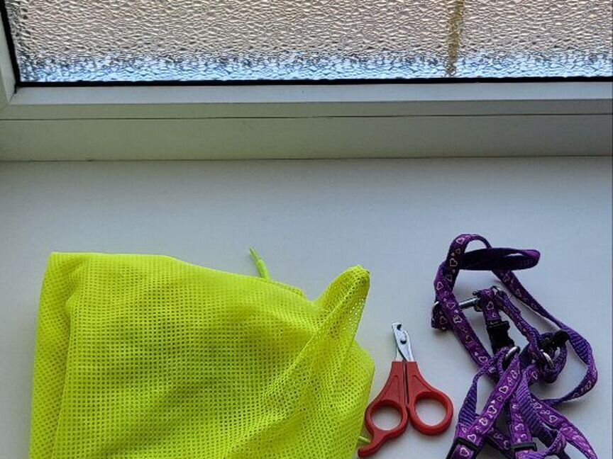 Аксессуары для кошки