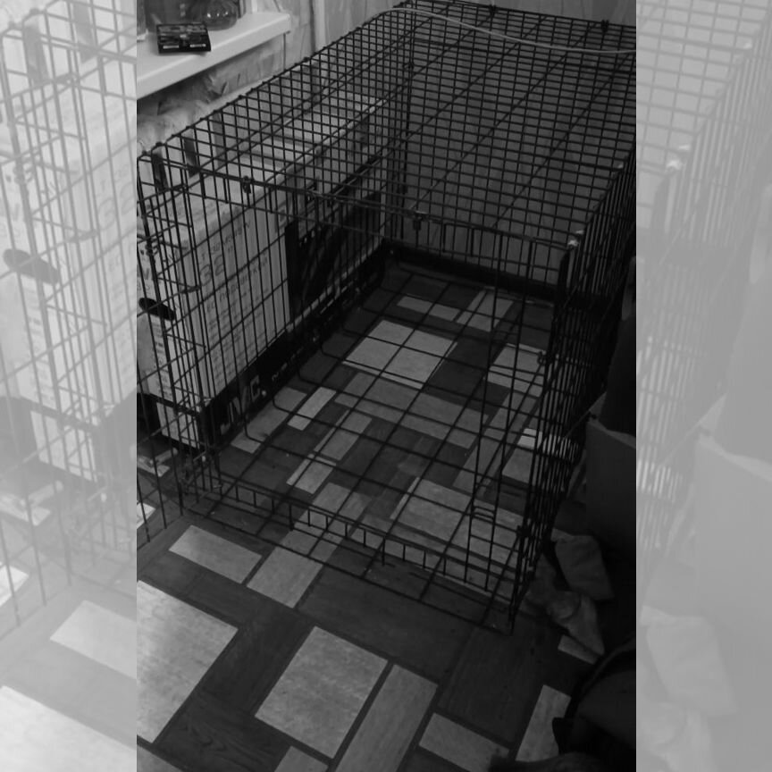 Клетка для собак   оцинкованный поддон